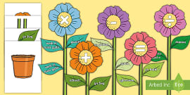 Posteri Rhifedd - Geirfa Mathemateg a Rhifedd - Twinkl