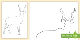 What is an Antelope? - Find out more about this herbivorous land mammal