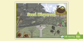 Seed Dispersal Information and Activity Age 7-11 | Twinkl
