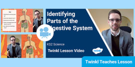 Interactive Digestive System Labelling Activity | Twinkl Go!