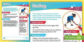 Hockey: Basic Rules Display Poster (Hecho por educadores)