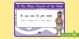 Te Reo Māori Quote and Proverb Display Posters Te Reo