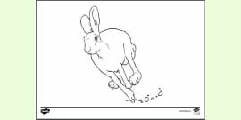 FREE! - Hare Face Colouring | Colouring Sheets - Twinkl