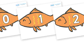 Numbers 0-20 on Clown Fish (Under the Sea) - Under the sea, Foundation