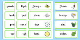 Mat Geiriau Cymraeg - 100 o Eiriau Cyntaf - Twinkl