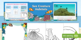 Fun Facts About the Southern Ocean For Kids - Twinkl