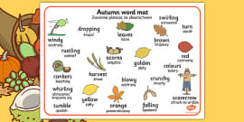 Autumn Themed FS2 Word Mat (teacher made) - Twinkl