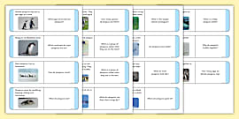 Penguin Fact Cards - KS1 - Twinkl