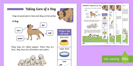 Pet Reading Comprehension PDF Activity | Pet Care of a Dog