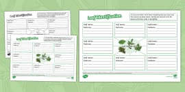 KS2 1980s Mind Map,1980s (teacher made) - Twinkl