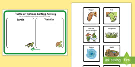 Early Childhood Label the Tortoise Cut and Paste Worksheet