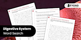 Digestion Word Search | Digestive System Activity