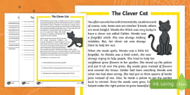 Year 2 Pythons Reading Comprehension Activity - Twinkl