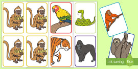 Jungle Animals Word Cards (teacher made)