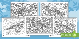 Blue Tit Mindfulness Colouring Activity (teacher made)