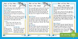 Mako Shark Facts for Kids | Twinkl Teaching Resources