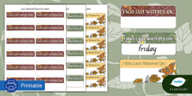 Printable Write-On Plant Pot Labels (teacher made) - Twinkl