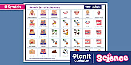 Twinkl Symbols: PlanIt Science Animals Including Humans Year 4 Flashcards