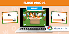 Stage 1 Flash Words