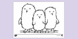 Morepork Owl Mindfulness Colouring Page (teacher made)