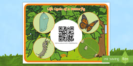 Butterfly Life Cycle Board Game | Year 3 Science | Twinkl