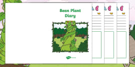 Life Cycle of a Bean Display Banner - Bean, growth, plant, life