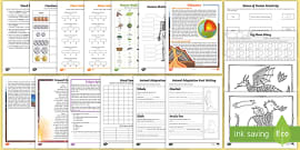 Fifth Grade Reading Comprehension Activity Pack