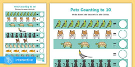 Pets Counting 11-20 Worksheet (Teacher-Made)