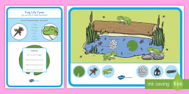 Butterfly Life Cycle Cut and Paste Worksheet / Activity Sheet