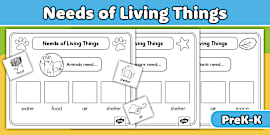 2nd Grade Basic Needs of Living Things Cut & Paste Activity