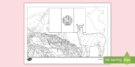 Hojas de colorear: Llamas y alpacas (teacher made) - Twinkl