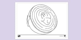 FREE! - Onion Colouring Page - Primary Resources - Twinkl