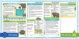 Small Five Animals Comprehension - South Africa - Twinkl