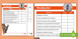 Describe the Woodpecker Writing Activity (teacher made)