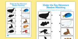 Under the Sea Counting to 5 Worksheet / Worksheet Worksheet / Worksheet