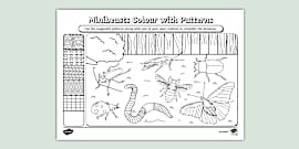 Minibeasts Complete the Pattern Worksheet (teacher made)