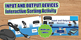 Computer Input and Output Interactive Sorting Game
