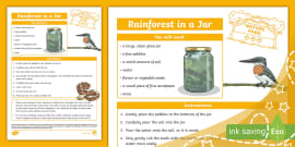 KS2 Rainforest eBook Story | 'Rainforest Calling' eBook