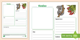 Koalas Fact Sheet - Information Report - Facts about Koalas