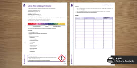 Preparing Red Cabbage Indicator | KS3 Science | Beyond