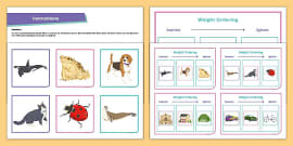 Measuring Weight KS1 | Challenge Cards (teacher made)