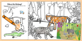 Animals of the Amazon Rainforest: KS2 Facts Worksheet