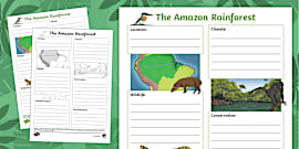 Rainforest Fact File Template (teacher made) - Twinkl