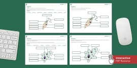 Parts of a Light Microscope Labelling Worksheet - Interactive