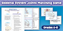Hands-On Skeletal System: Bone Density in a Baggie Lab