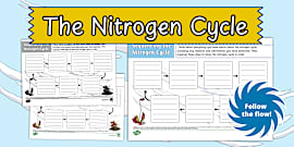 The Nitrogen Cycle Worksheet | Science | Beyond Secondary