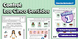 Imágenes de los 5 sentidos para imprimir | Twinkl