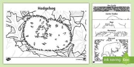 Hibernation Cut, Color, and Paste Activity (teacher made)