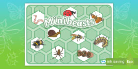 Realistic Minibeast Display Cut Outs (teacher made) - Twinkl
