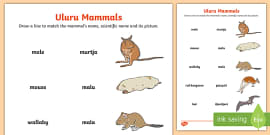 Uluru Word Search (teacher made) - Twinkl